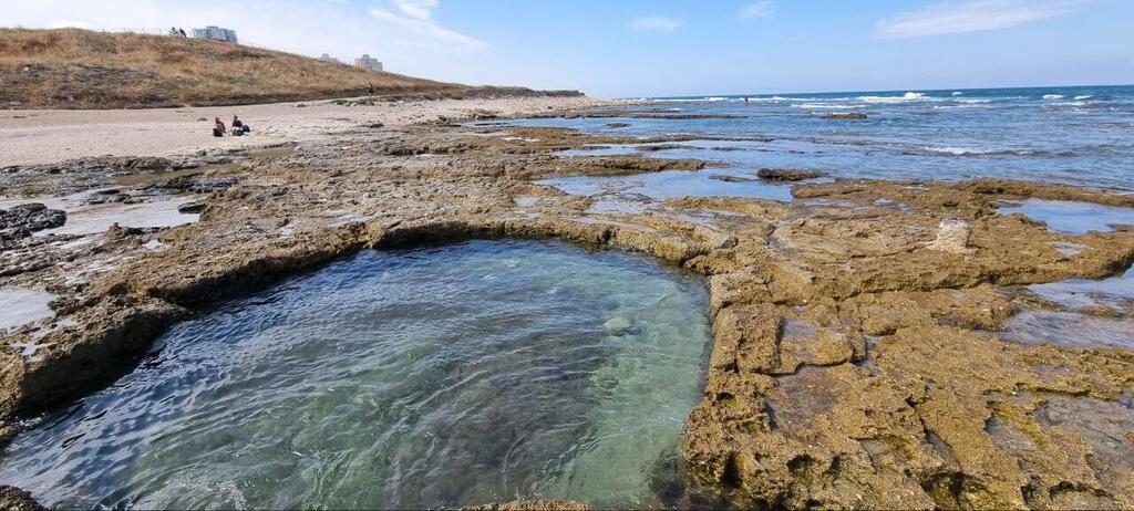 Israel’s hidden beach jacuzzi: the natural rock pool at Tel Shikmona