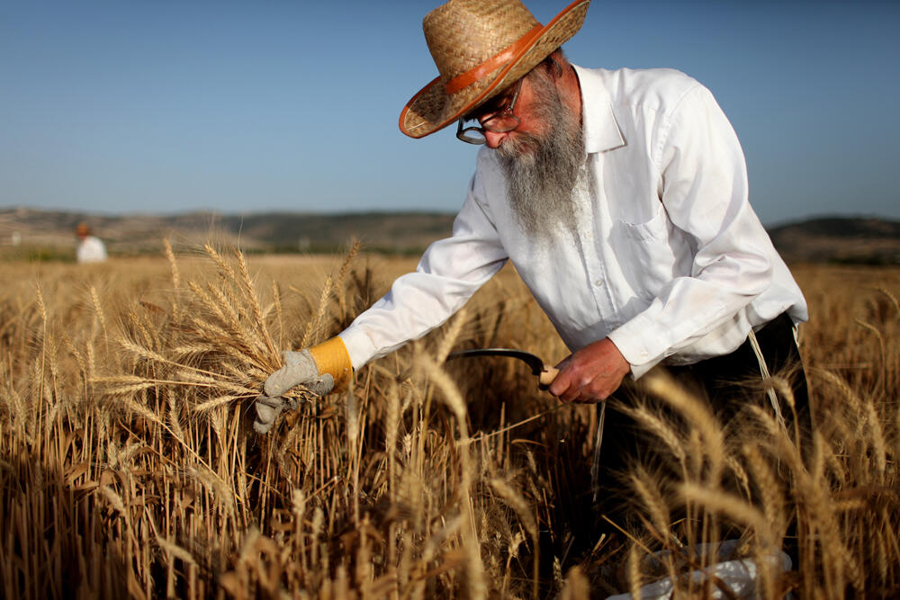 Cultural, religious communities in Israel find different meanings in ...