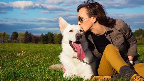 Dogs more attuned to human emotions than other animals, study finds