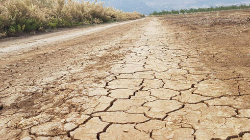 Study shows droughts in Israel set to become more severe