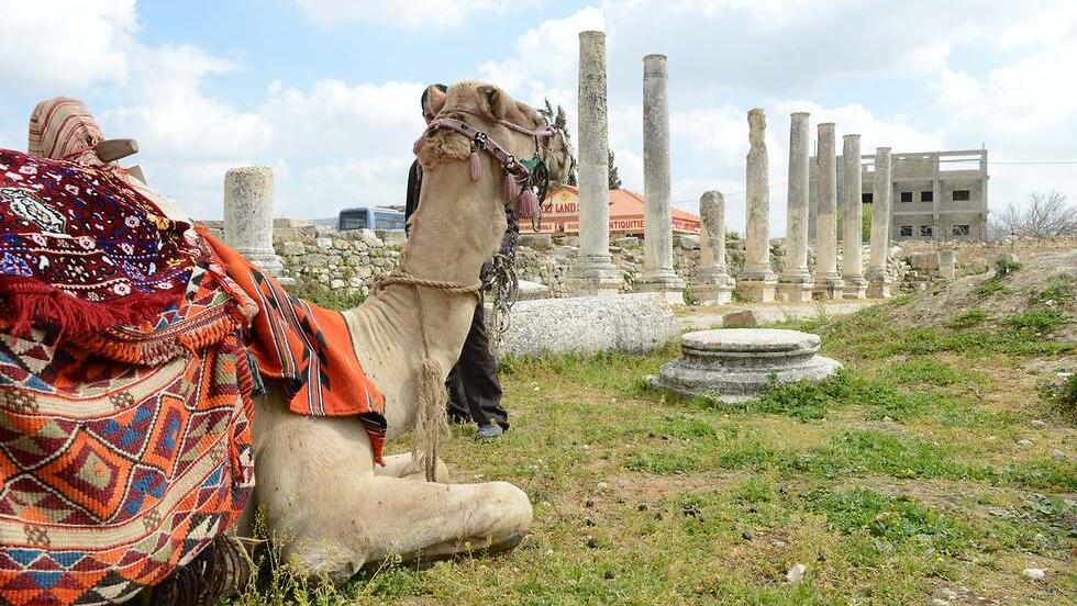 Sebastia archaeological site in West Bank divides Israelis, Palestinians