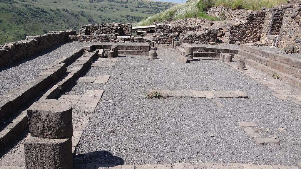 Rare 3rd century animal mosaic found in ancient Golan Heights synagogue