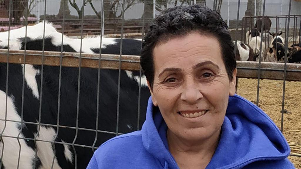 Knesset dissolves and the public suffers