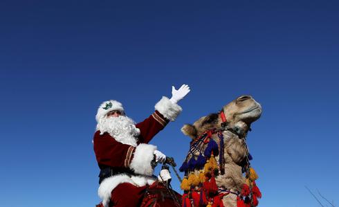 Santa on a camel delivers Christmas trees in Jerusalem