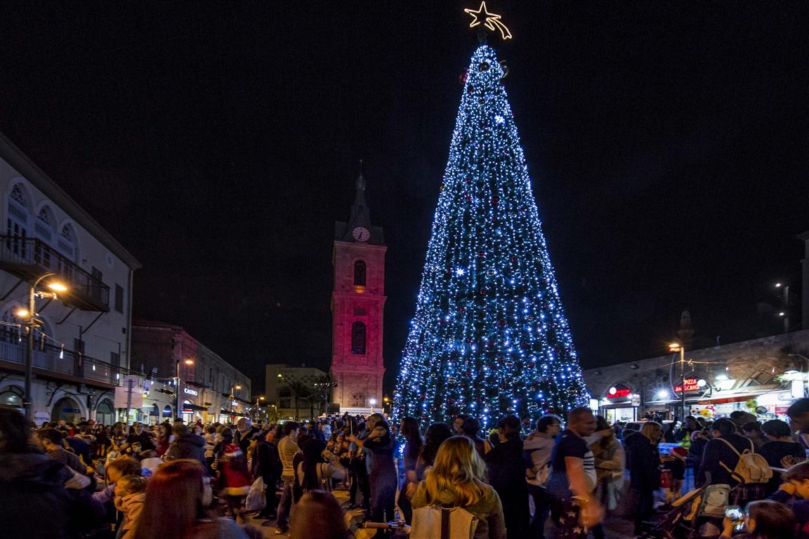 Israel's best Christmas trees