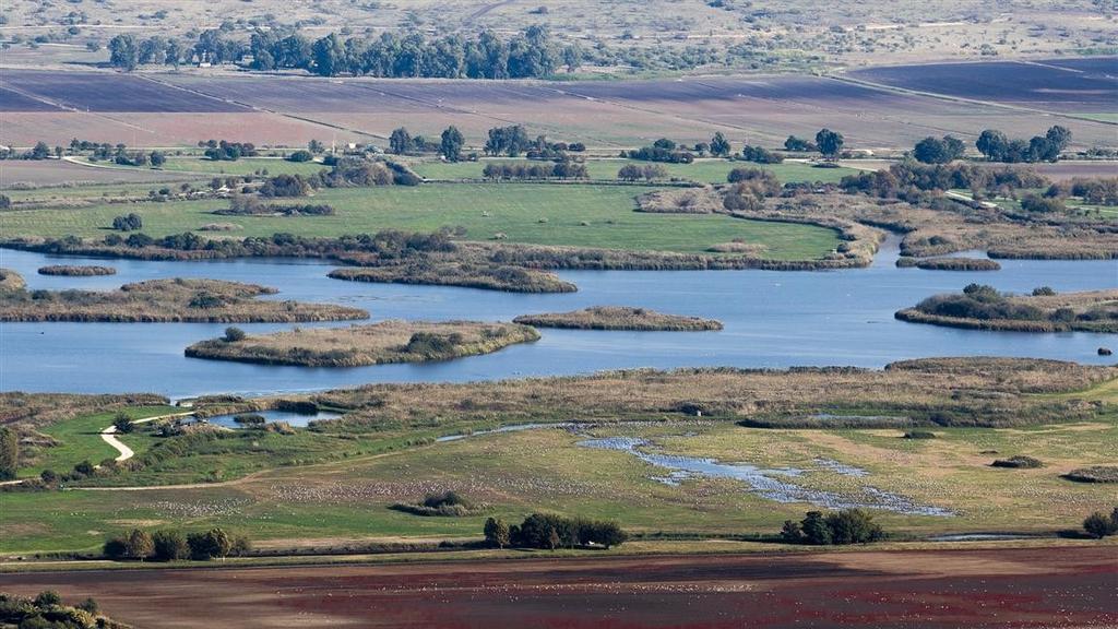 Northern Israel lake a hot fishing spot for 10,000 years ...
