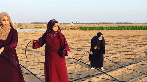 Women in Gaza determined to overcome economic, social challenges