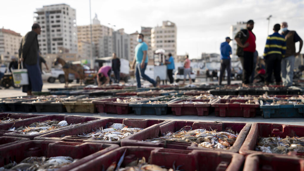 Gaza fish restaurants thrive far from the foodie trail
