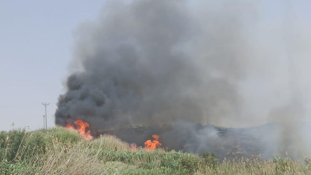 Fire fighters battle multiple blazes as Israel hit by dry, dusty heatwave