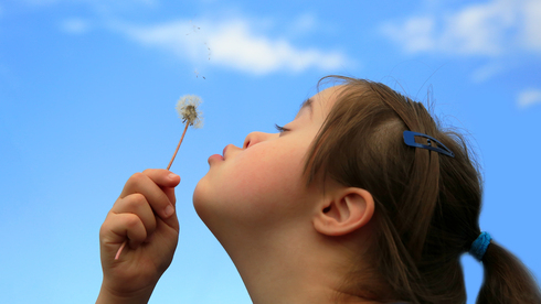היכן נתנדב השבוע?