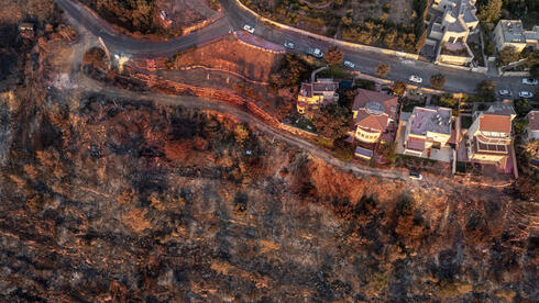 Making Israel's forests resilient again