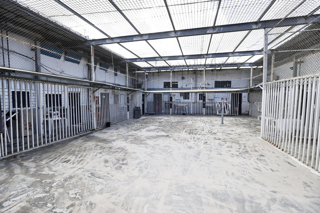 All for all? The numbers behind the possibility of a prisoner exchange deal