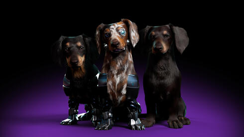 Israeli start-up introduces digital dogs