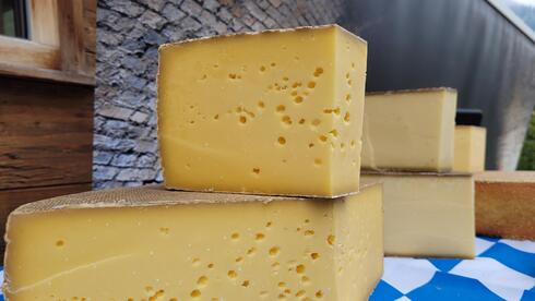 Why is yellow cheese yellow?