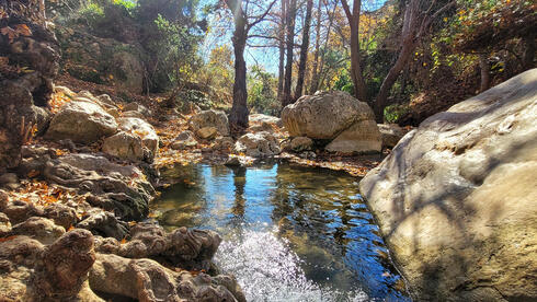 Best locations to hike in water in Israel's nature
