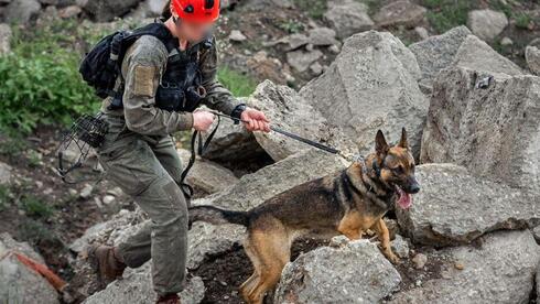 IDF's special forces dog unit that located Israeli man sucked into pool ...