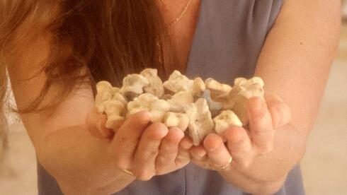 Israeli archeologists uncover bone dice trove from 2,300 years ago