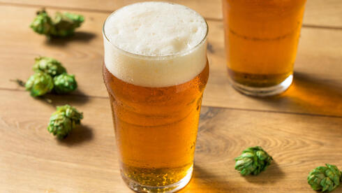 Homebrewer recreates ancient Egyptian beer with 3,500-year-old yeast strain