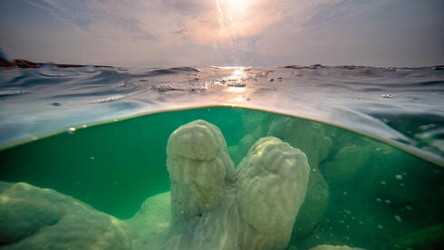 Dying Beauty: Dead Sea through lens of Israeli nature photographer