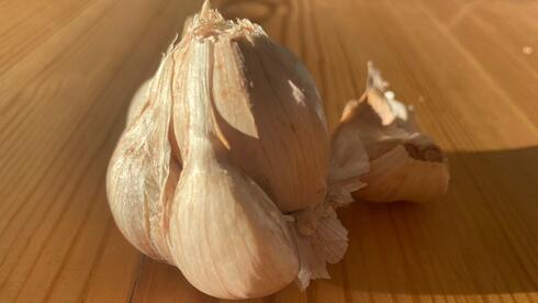 The secrets of garlic