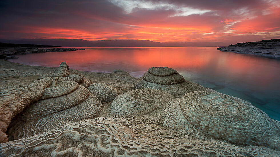 Israeli photographers' best snaps of the year