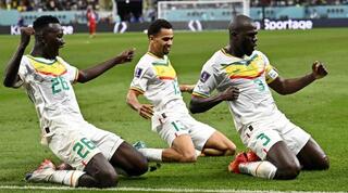 ynet - אקוודור במונדיאל 2022 - ynet