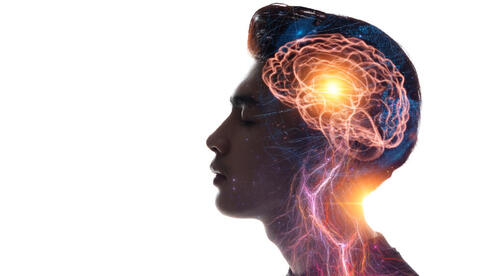 Brain gym: How to improve your memory in 10 simple steps