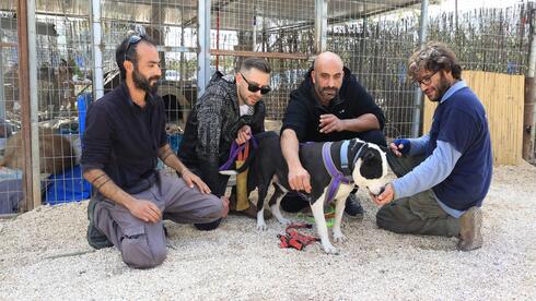 Battle-scarred Israeli soldiers and dogs help each other cope with trauma