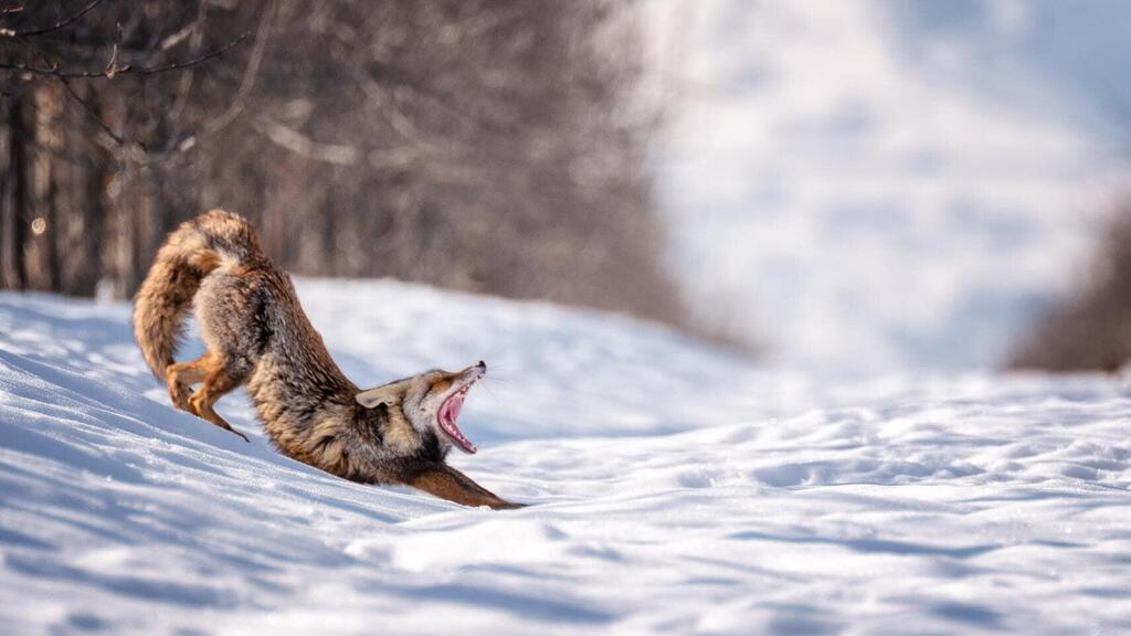 A peek into the Golan Height's marvelous wonders