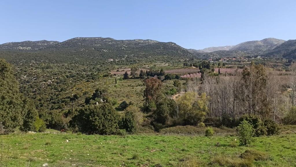 Israel's best picnic spots for the ultimate barbecue