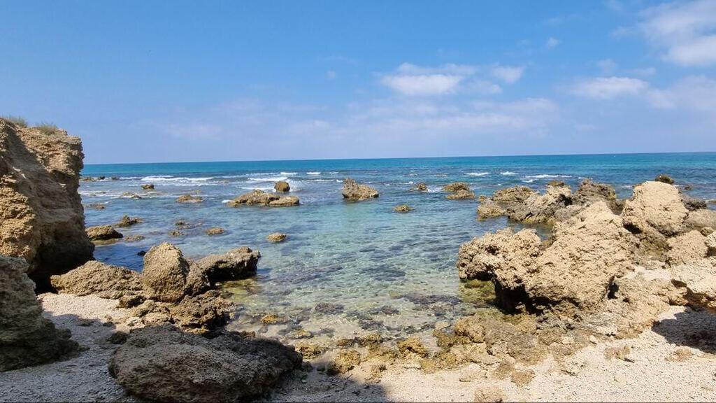 בקיץ הזה אני מתכנן למצוא את החוף המושלם