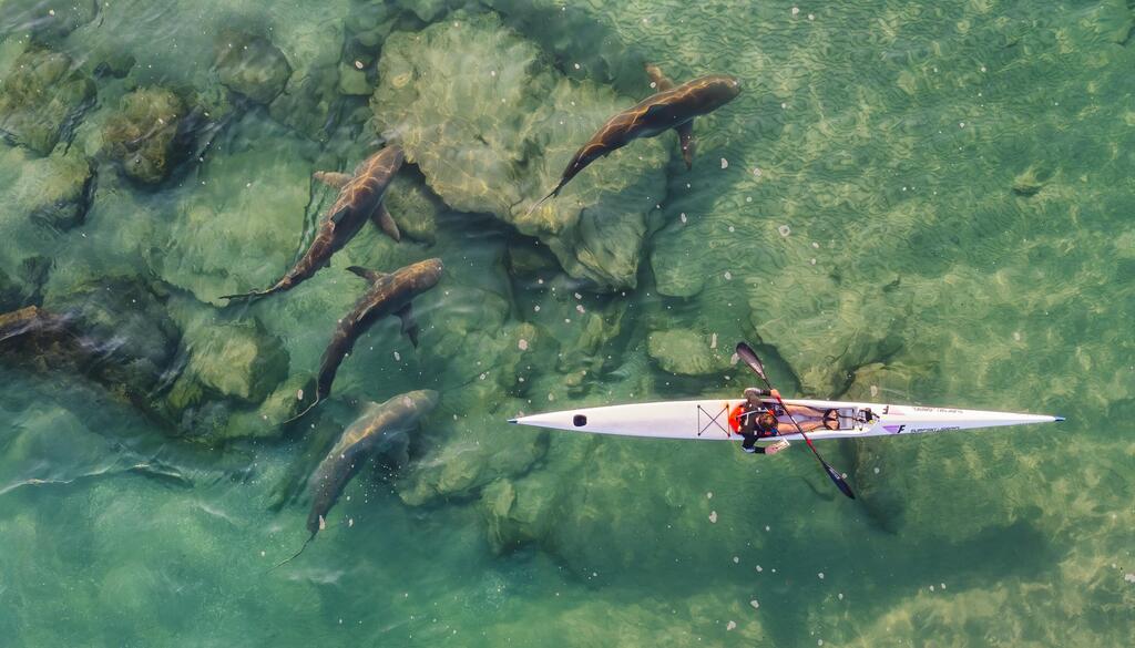 Captivating captures: A stunning glimpse into the wonders of global and ...