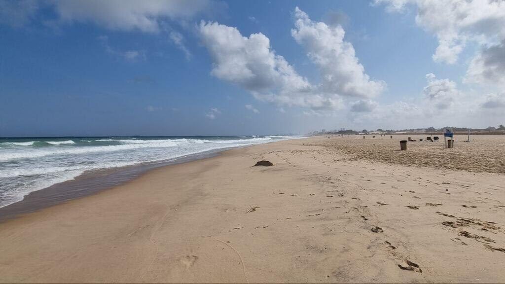 אין מטקות, לא דורכים לך על המגבת ויש צל - החוף הוותיק שהפתיע אותנו