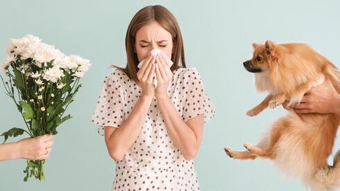 How did everyone suddenly become allergic?