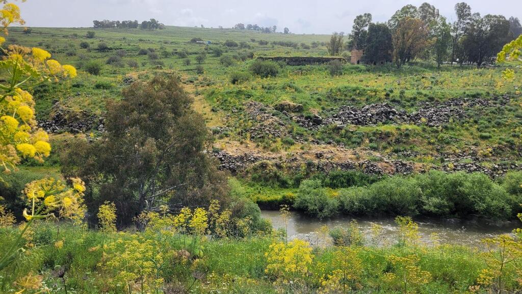 Study tracks flint source of ancient tools using AI
