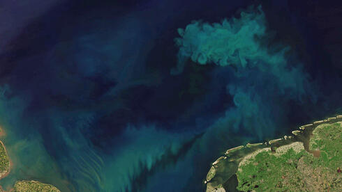 Blue to green: Climate change altering ocean's color