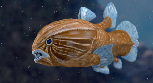 Following mass extinction, fish species dubbed 'living fossils ...