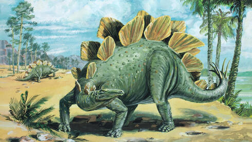 Sotheby's set to auction historic Stegosaurus fossil 'Apex'