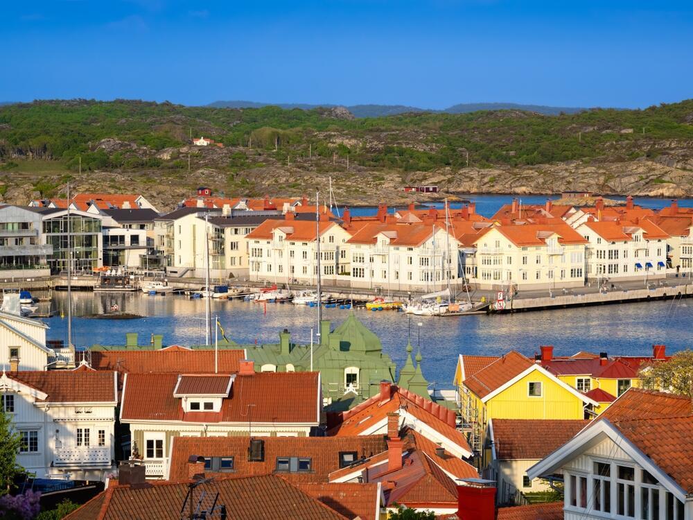 One of the oldest cannons in Europe found in Sweden