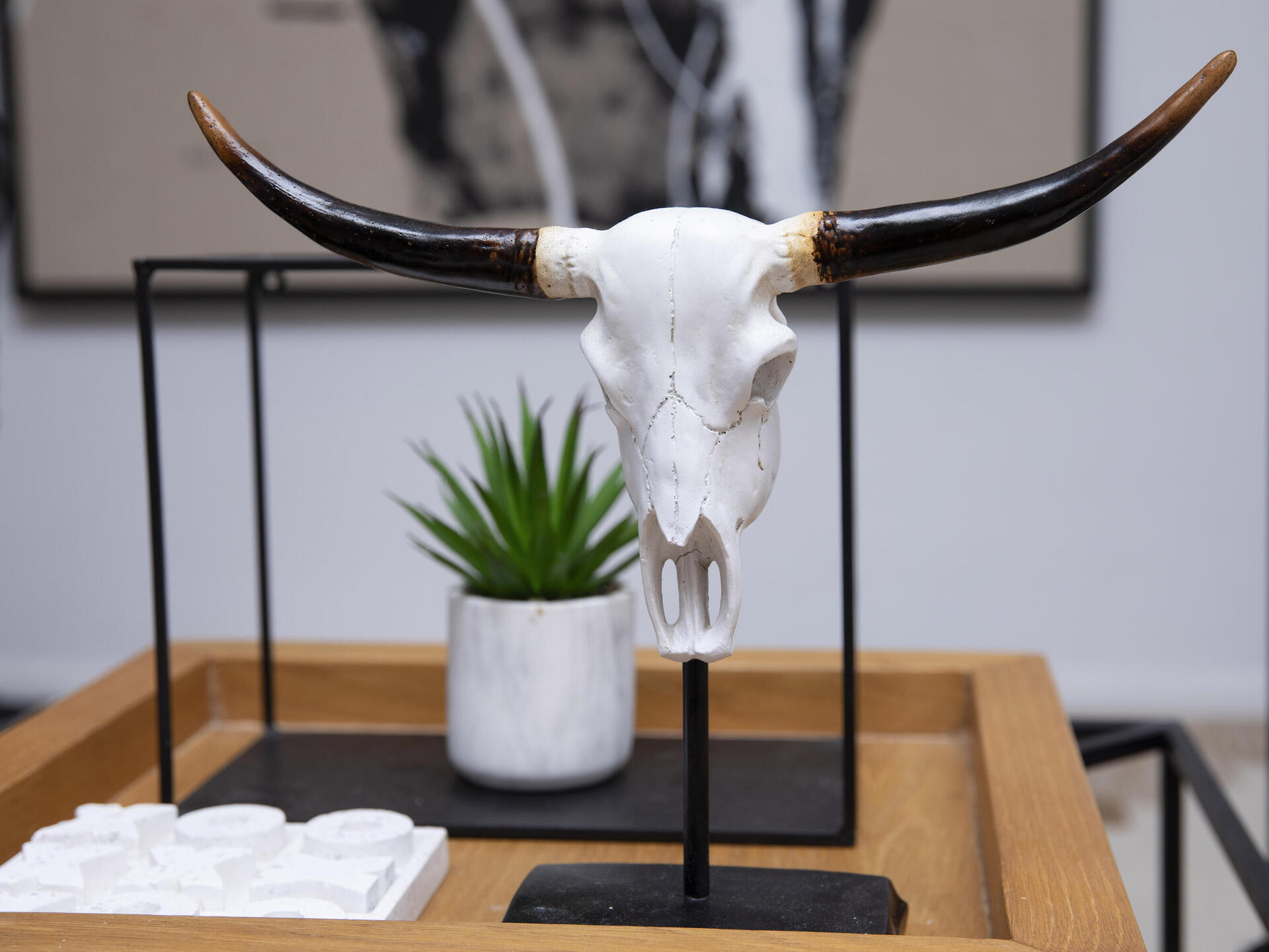 אושפיזין בסטייל: מעצבת שמלות הכלה ליהי צבילינגר יצרה בית אינטימי בשכונת ...