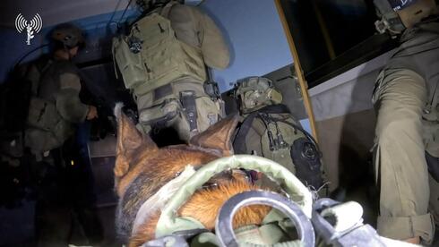 Hamas using dogs to disrupt IDF canine unit