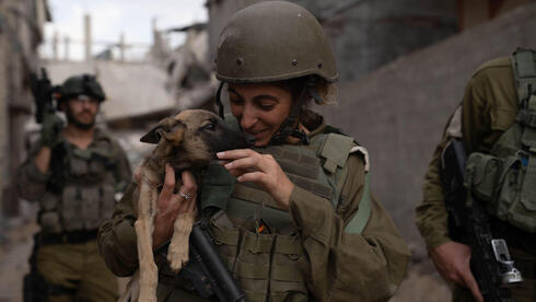 Furry and feathered heroes: IDF soldiers rescue forgotten animals in Gaza