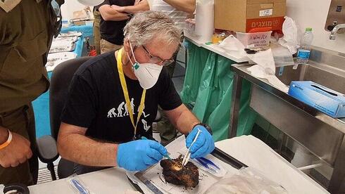 Anthropologists step in: ‘From a tiny bone fragment, we identified a ...