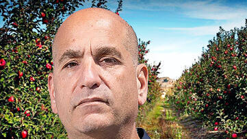 Weather patterns could devastate Israeli agriculture, meteorologist ...