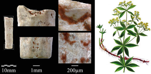 Researchers uncover use of red pigment 15,000 years ago in northern Israel