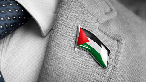 Delta Air Lines bans uniform pins after Palestinian flag row
