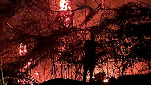 Since October 7, 84,000 acres of land in northern Israel ravaged by ...