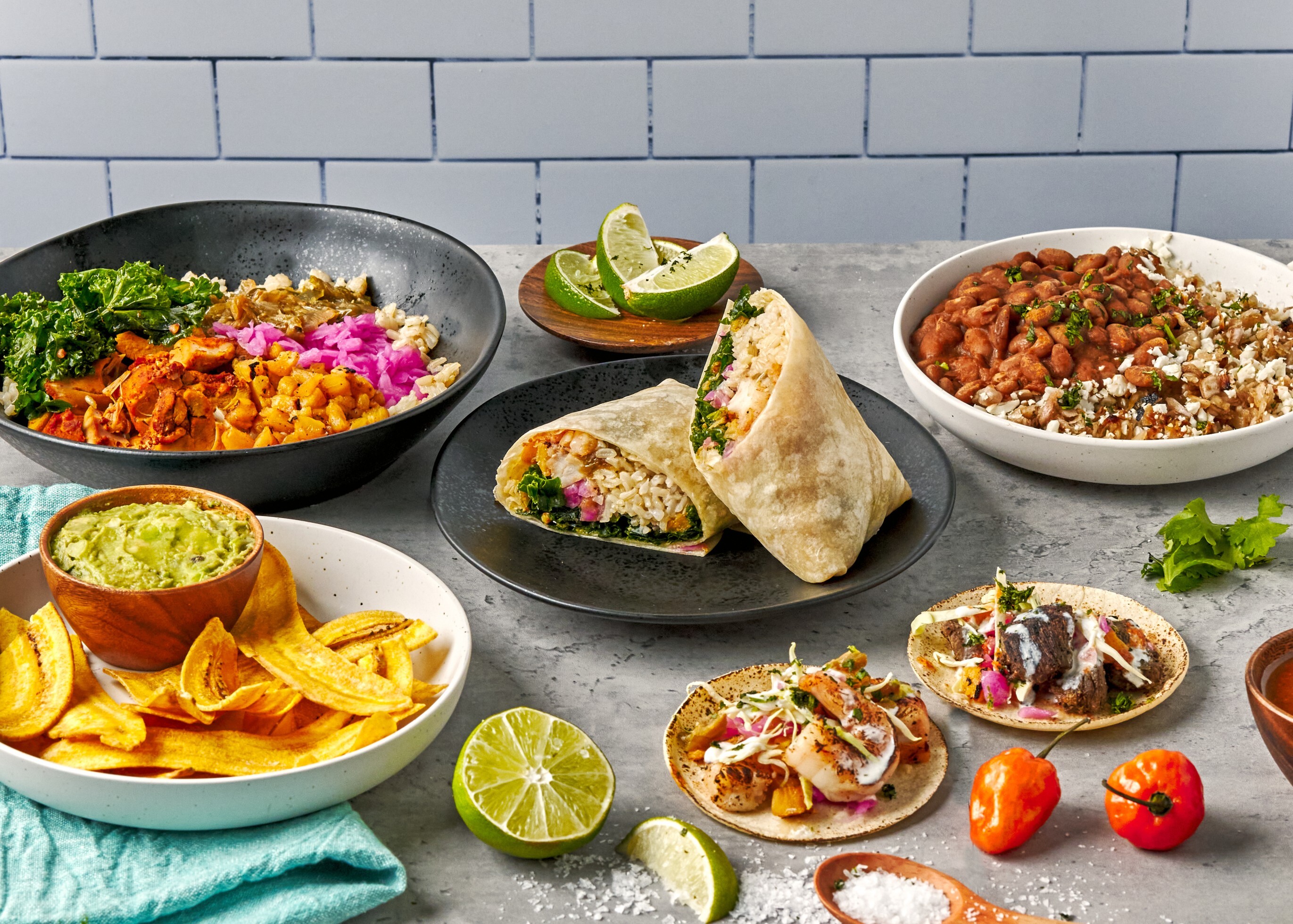 ynet - קהילת חברי כנסת - דיפלוי 12-1-2021