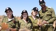 Flower power: IDF moving missile system to protect rare bloom