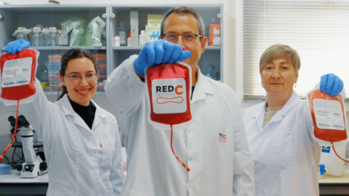 בלי תורמים: הסטארט-אפ הישראלי שמייצר תאי דם במעבדה